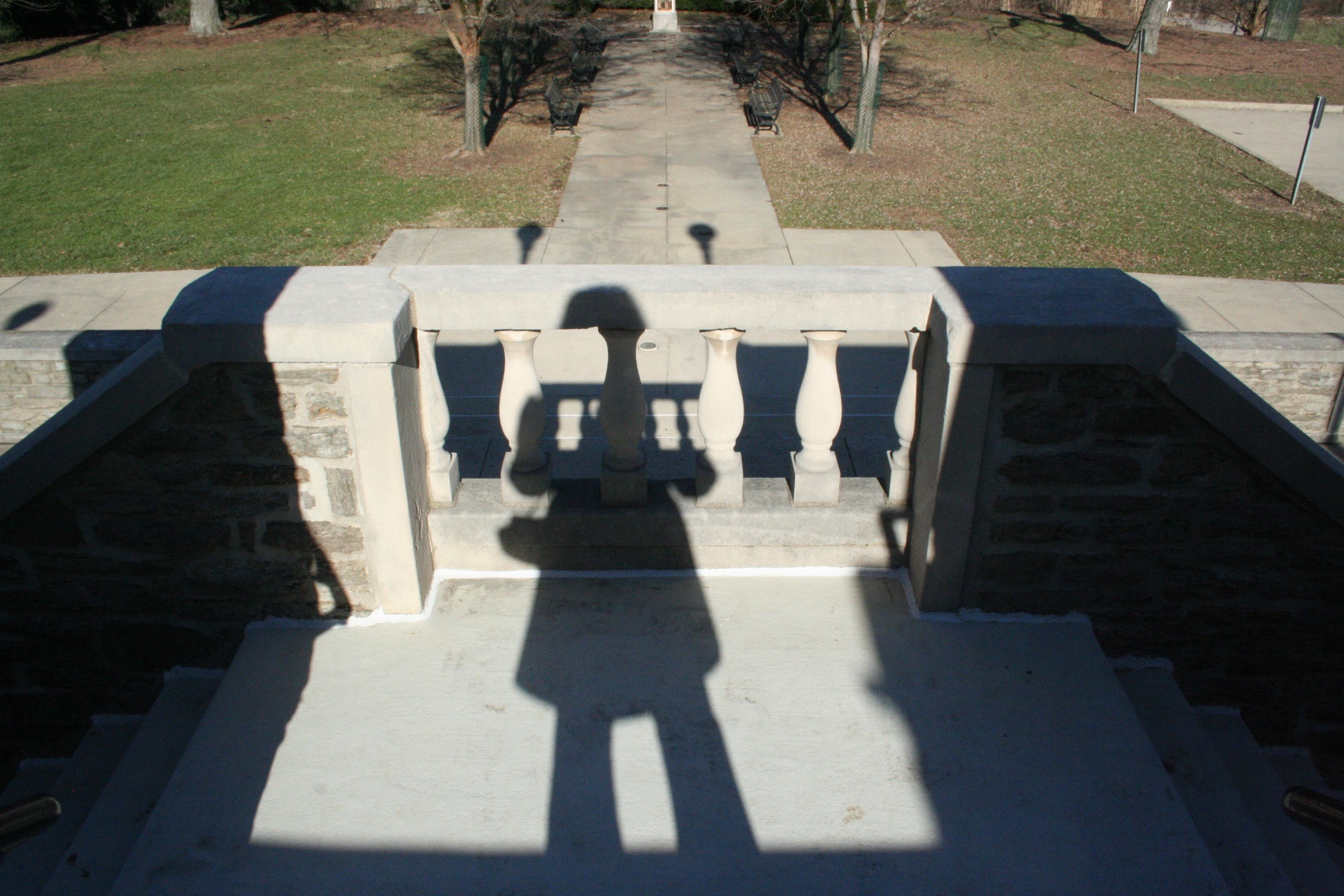 Self Portrait in Ault Park – The Song of Cicadas